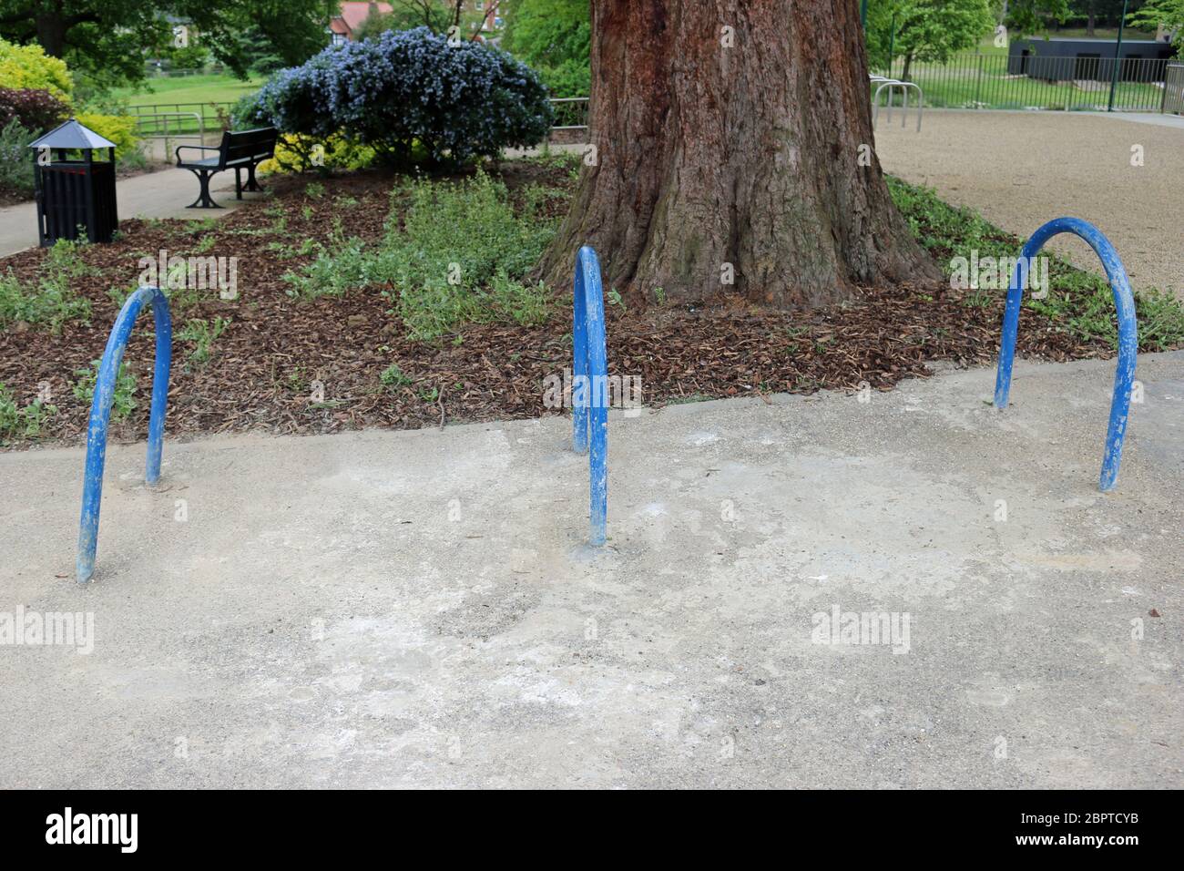 Three painted blue old bicycle racks on a tarmac path in a park with a ...