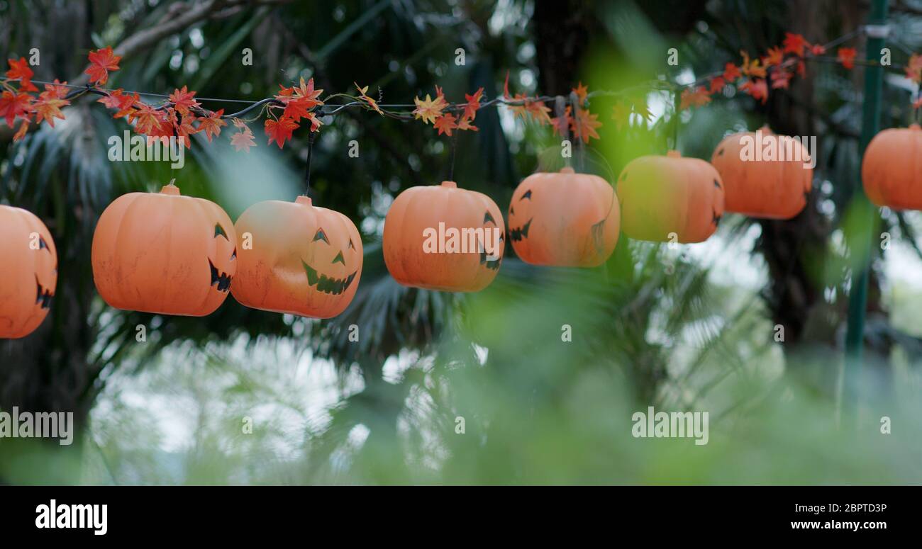 Halloween pumpkin hanging at outdoor Stock Photo - Alamy