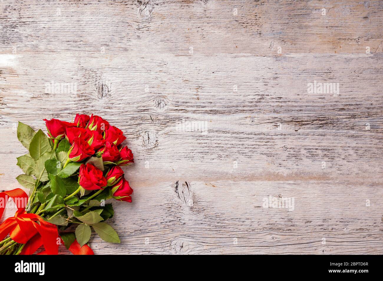 Fresh red garden roses on rustic white wooden background Stock Photo ...