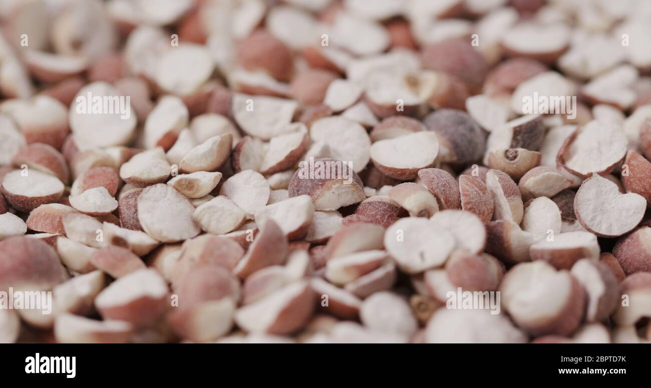 Chinese Gordon euryale seed Stock Photo - Alamy
