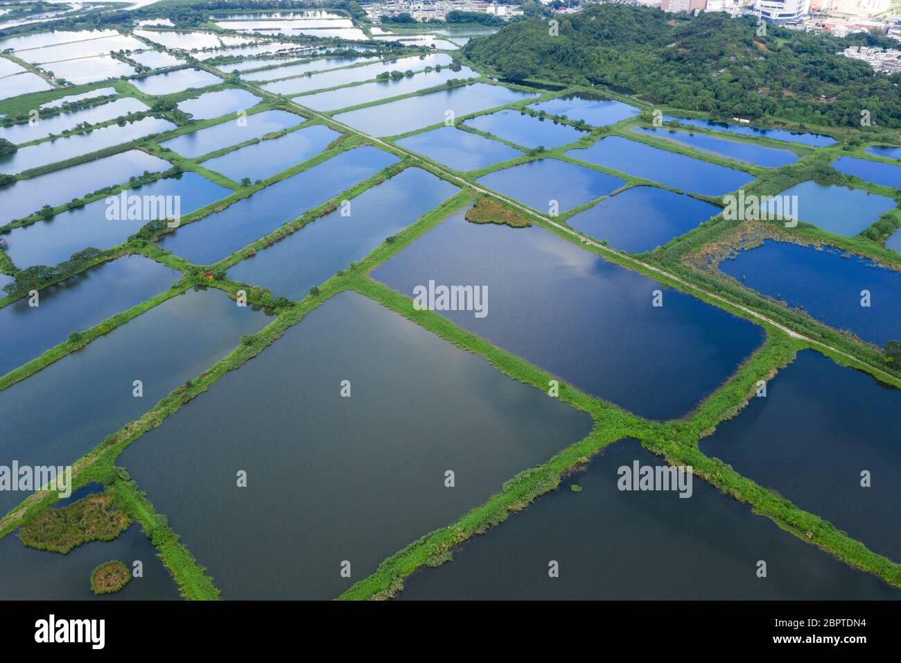Top down of Fish hatchery pond Stock Photo - Alamy