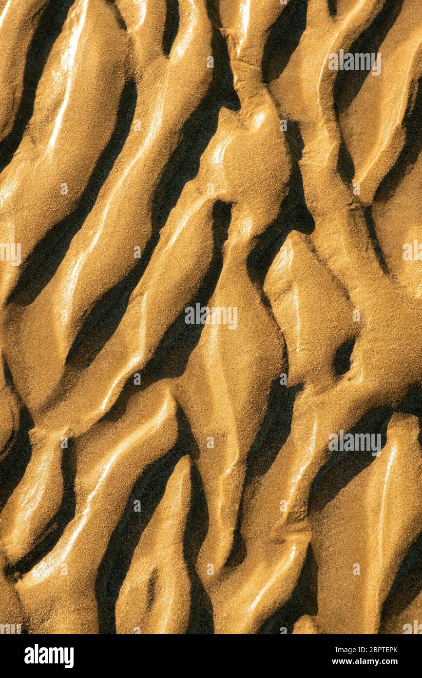Ridges In Sand High Resolution Stock Photography and Images - Alamy