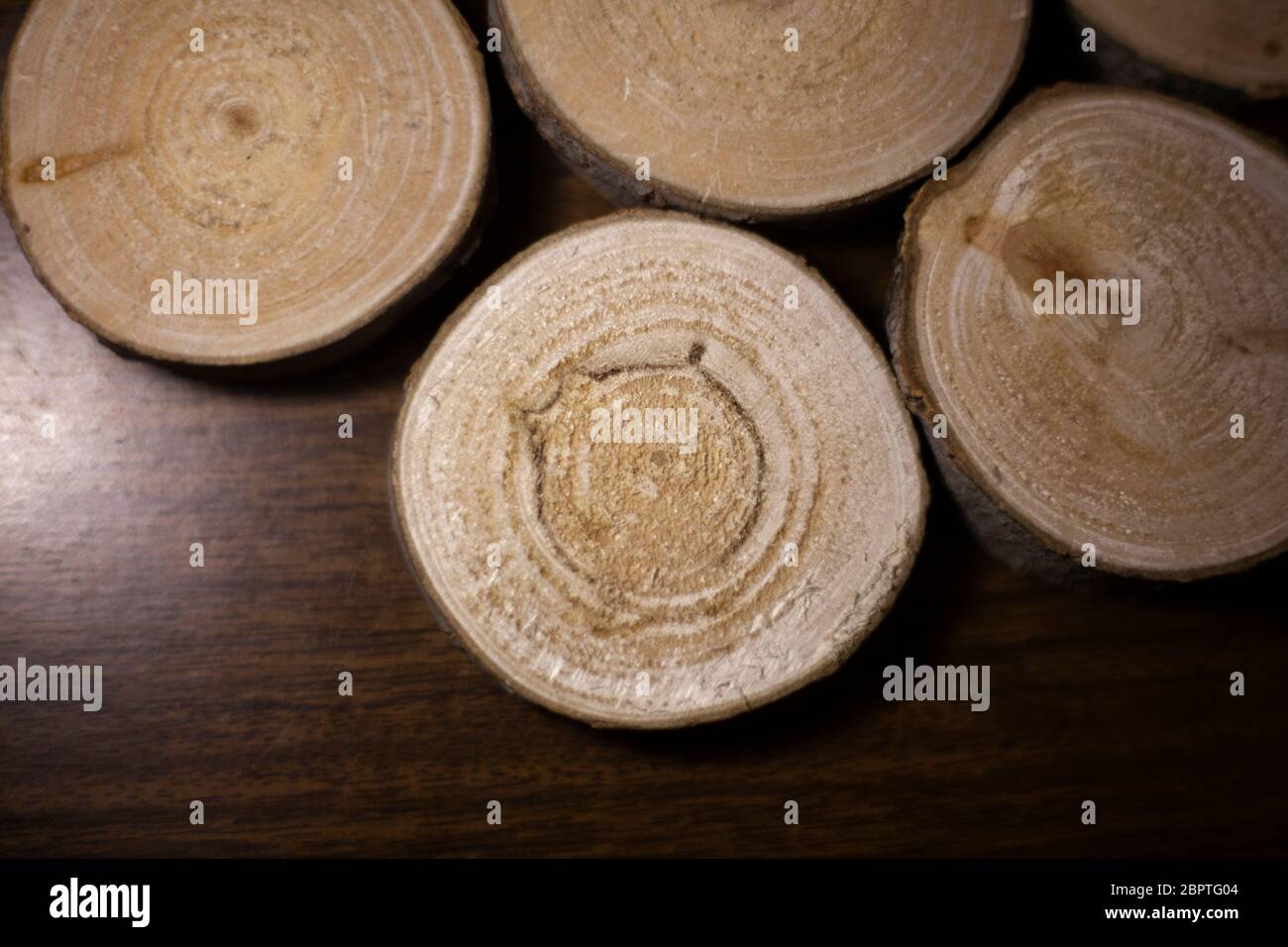 A log chopped into circles. Wood blanks. Texture of a young plant cut ...