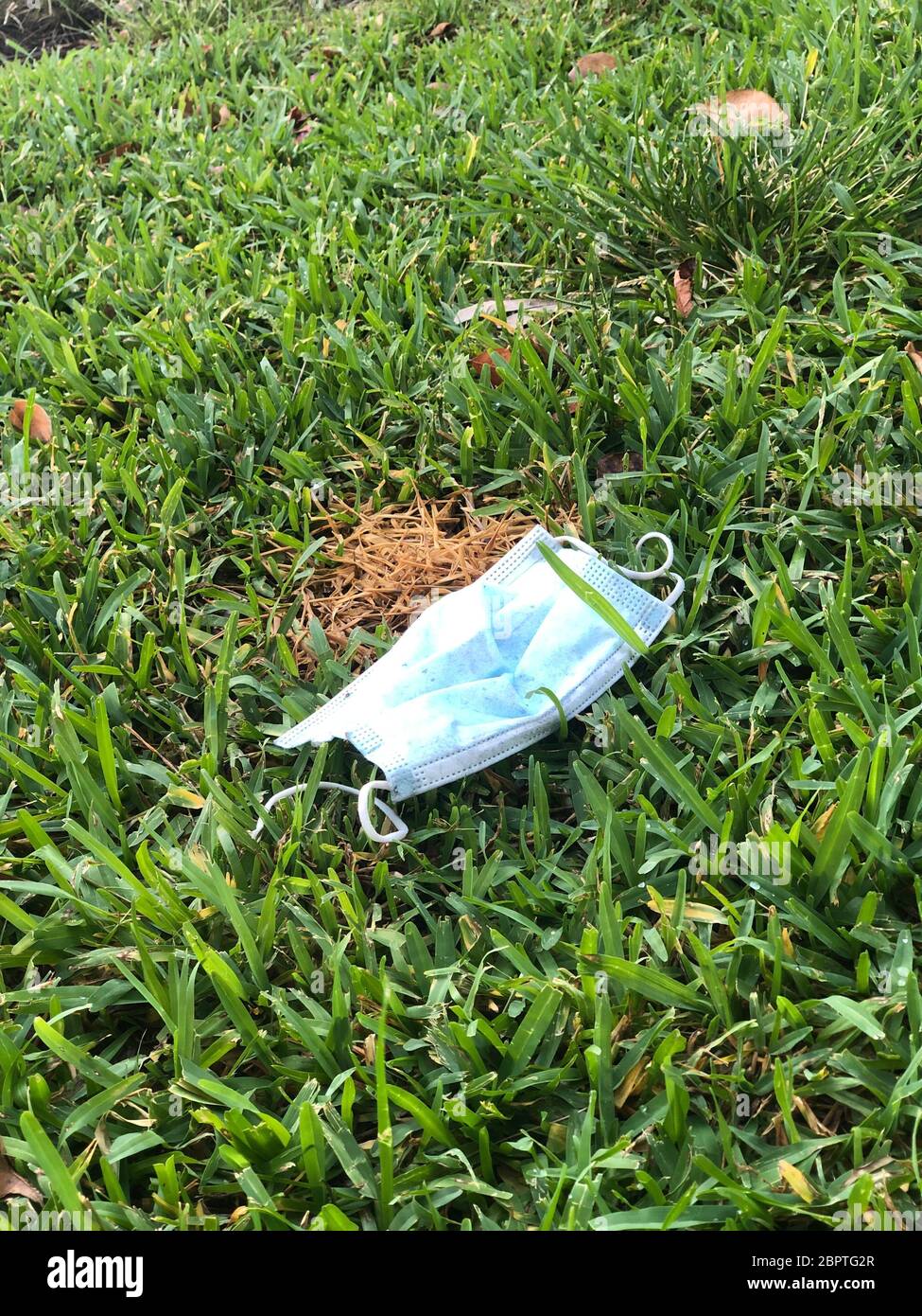 Dirty mask on the grass after virus Stock Photo - Alamy