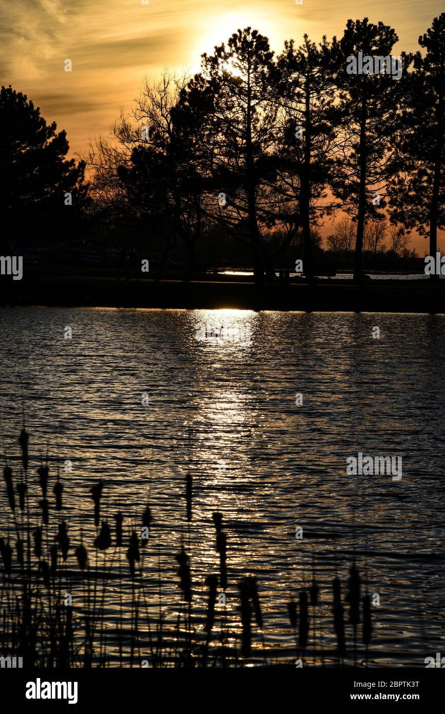 Andrew haydon park hi-res stock photography and images - Alamy