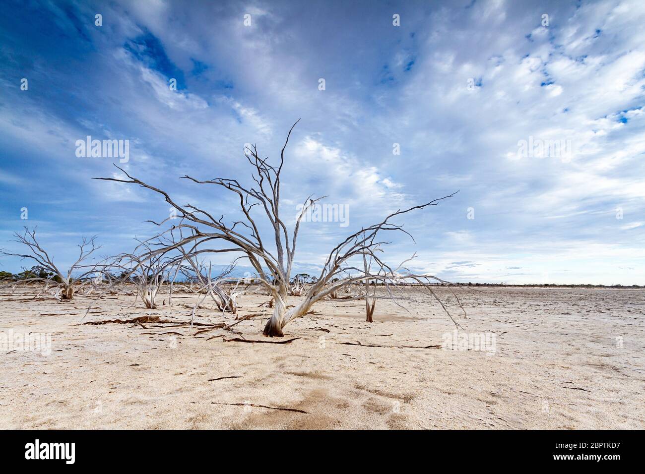 Drought australia dead hi-res stock photography and images - Alamy