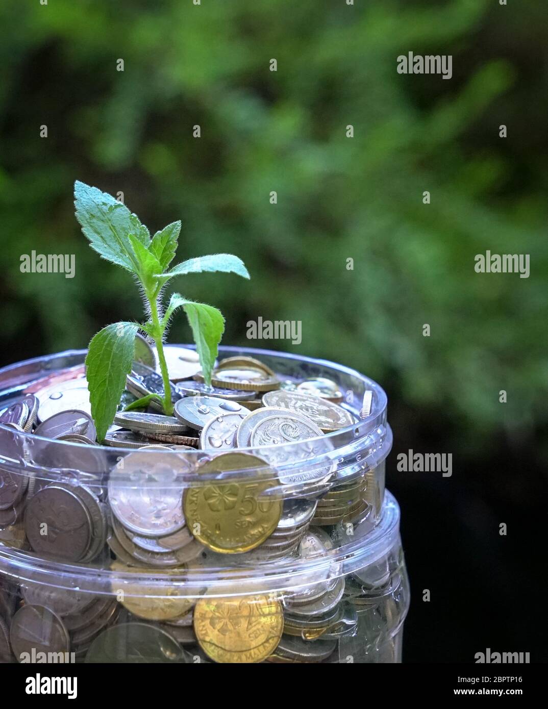 Savings container hi-res stock photography and images - Alamy