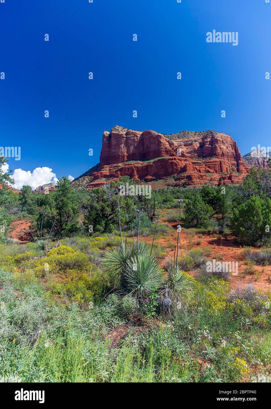 Courthouse Butte, nr. Oak Creek, Arizona, USA Stock Photo - Alamy