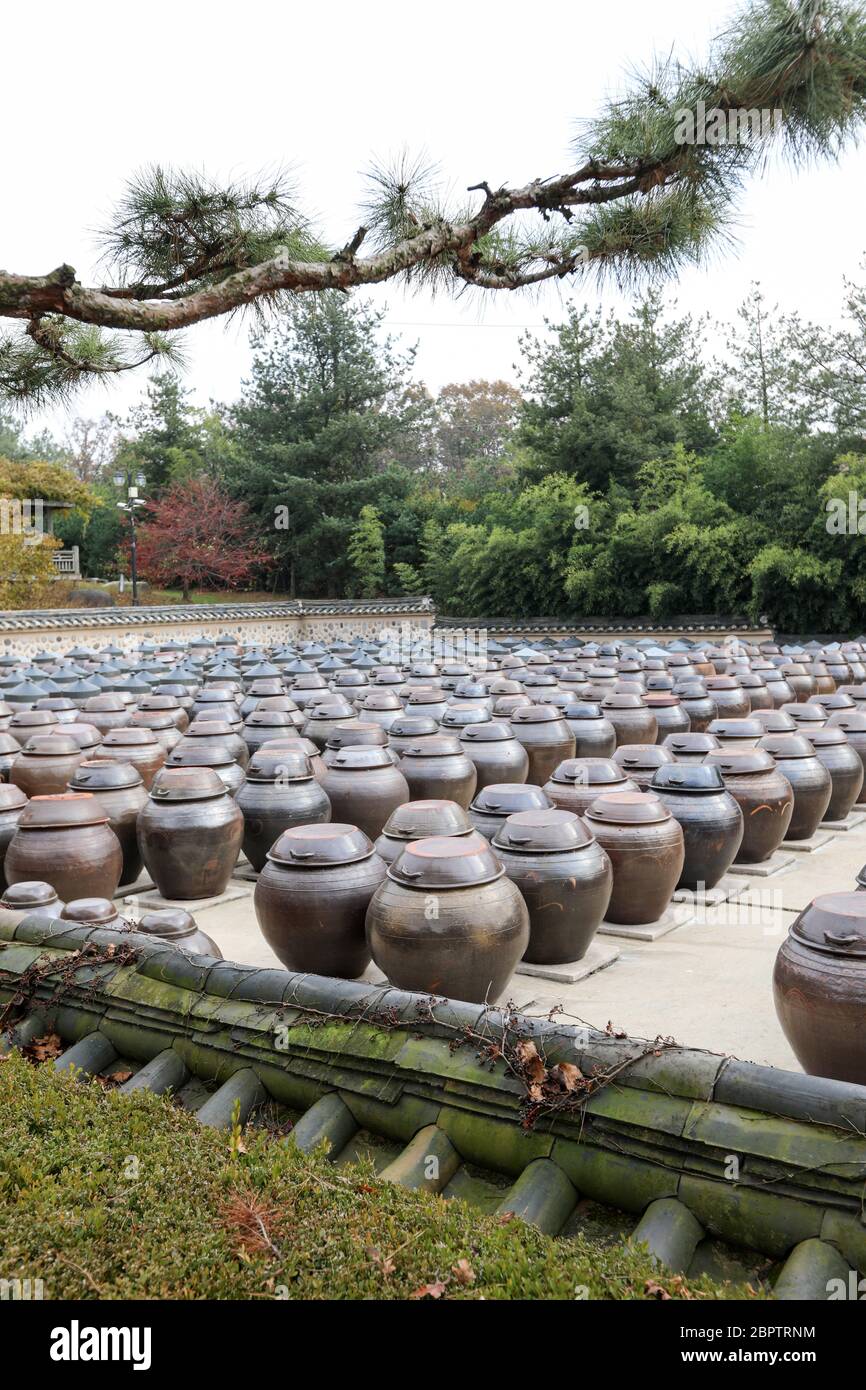 Stone wall pot pine hi-res stock photography and images - Alamy