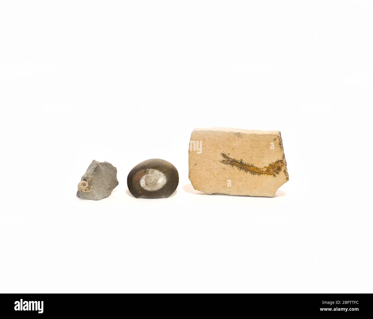 Science science Cut Out Stock Images & Pictures - Alamy