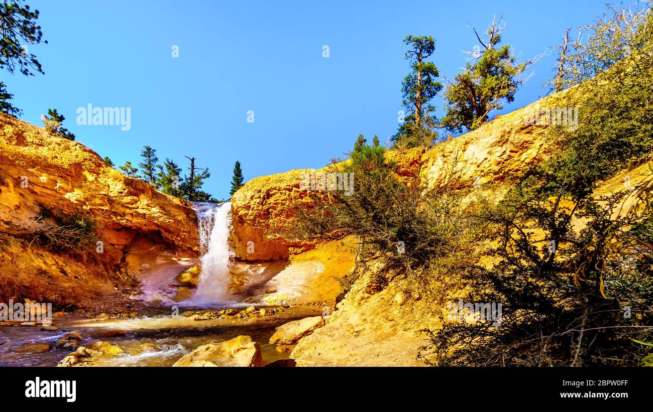 Tropic ditch falls hi-res stock photography and images - Alamy