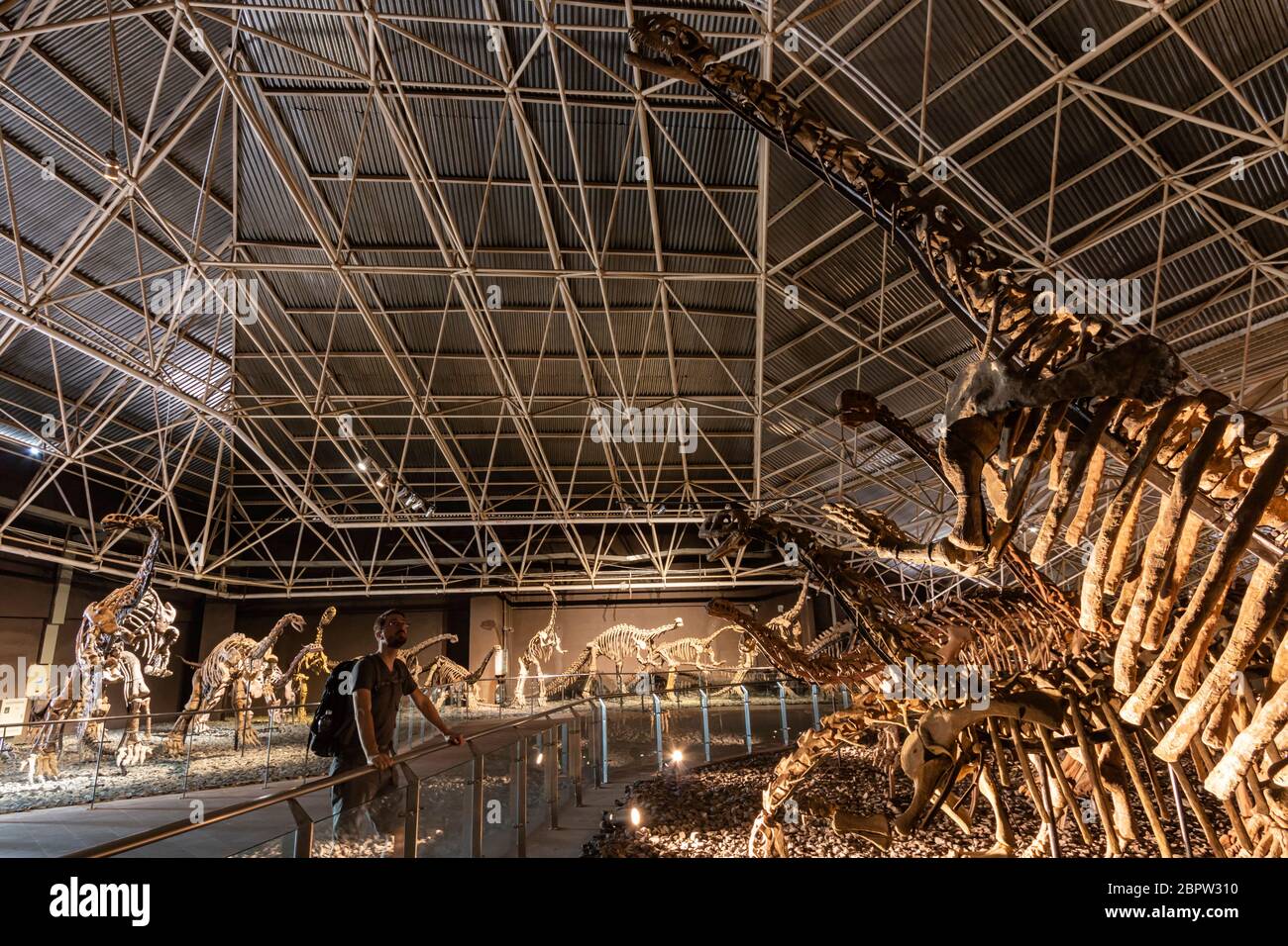 Dinosaur skeleton china hi-res stock photography and images - Alamy