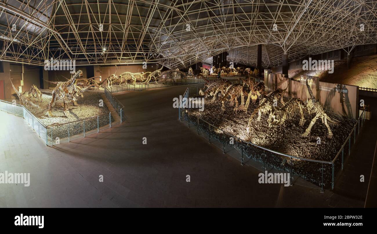 Kunming, China - May 17, 2020: Dinosaur fossils displayed at the Lufeng ...