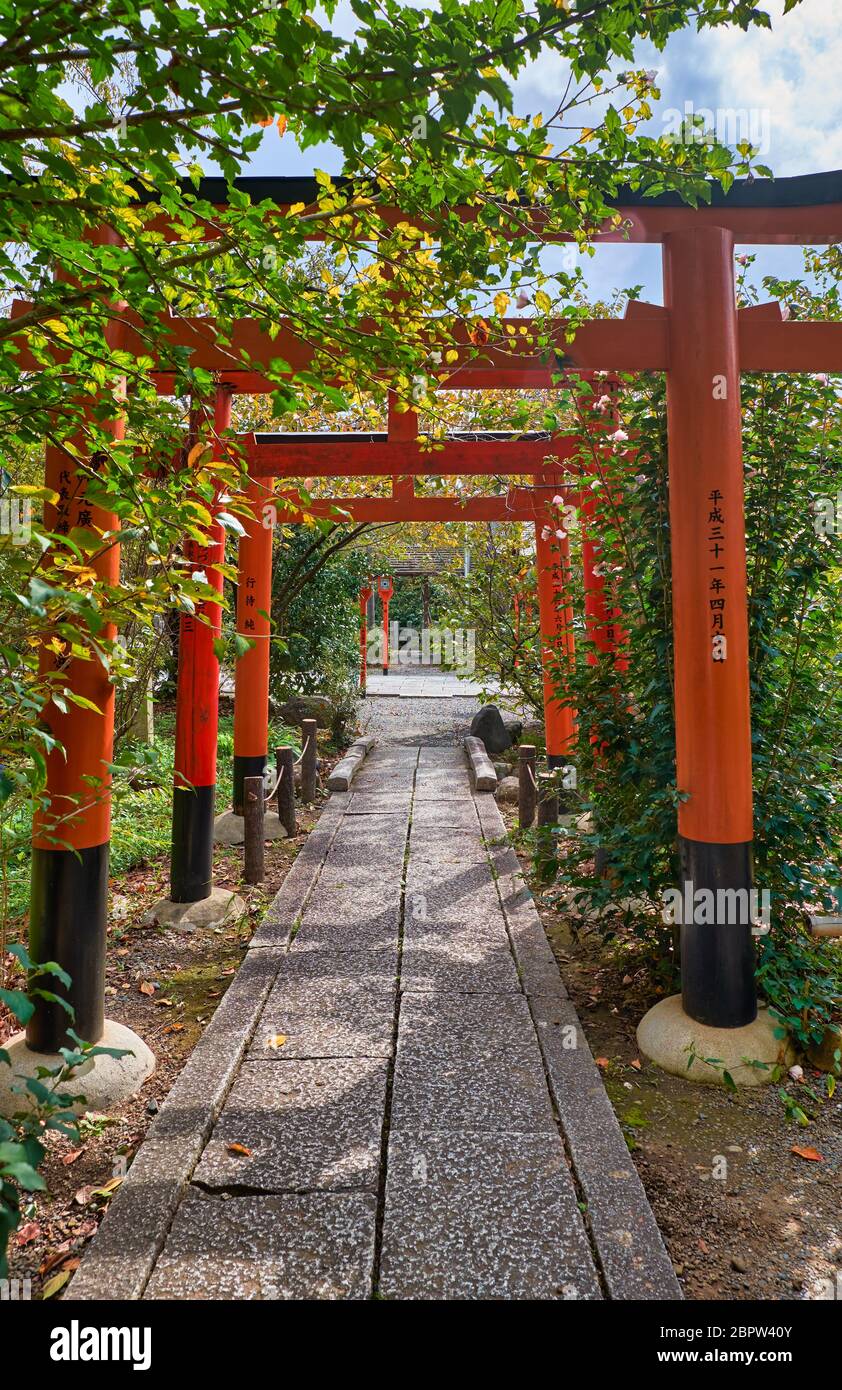 Japanese style torii gate hi-res stock photography and images - Alamy