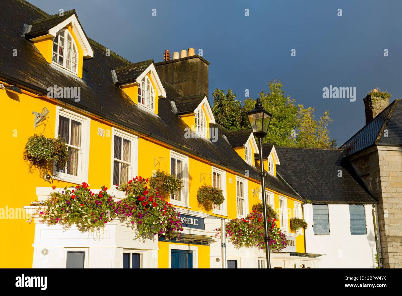 Wyatt hotel westport hi-res stock photography and images - Alamy