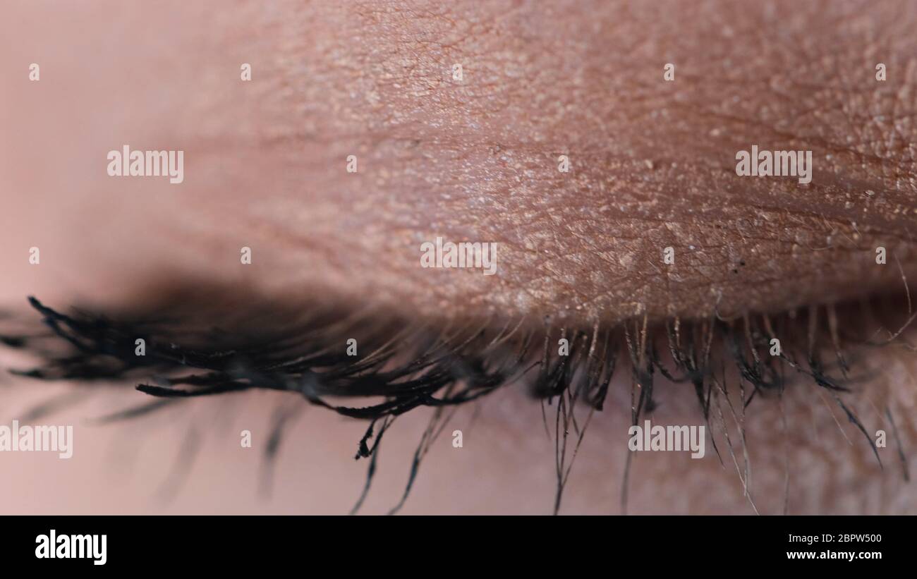 Caucasian female eyelashes with makeup. Extreme Close Up Macro in 4K ...