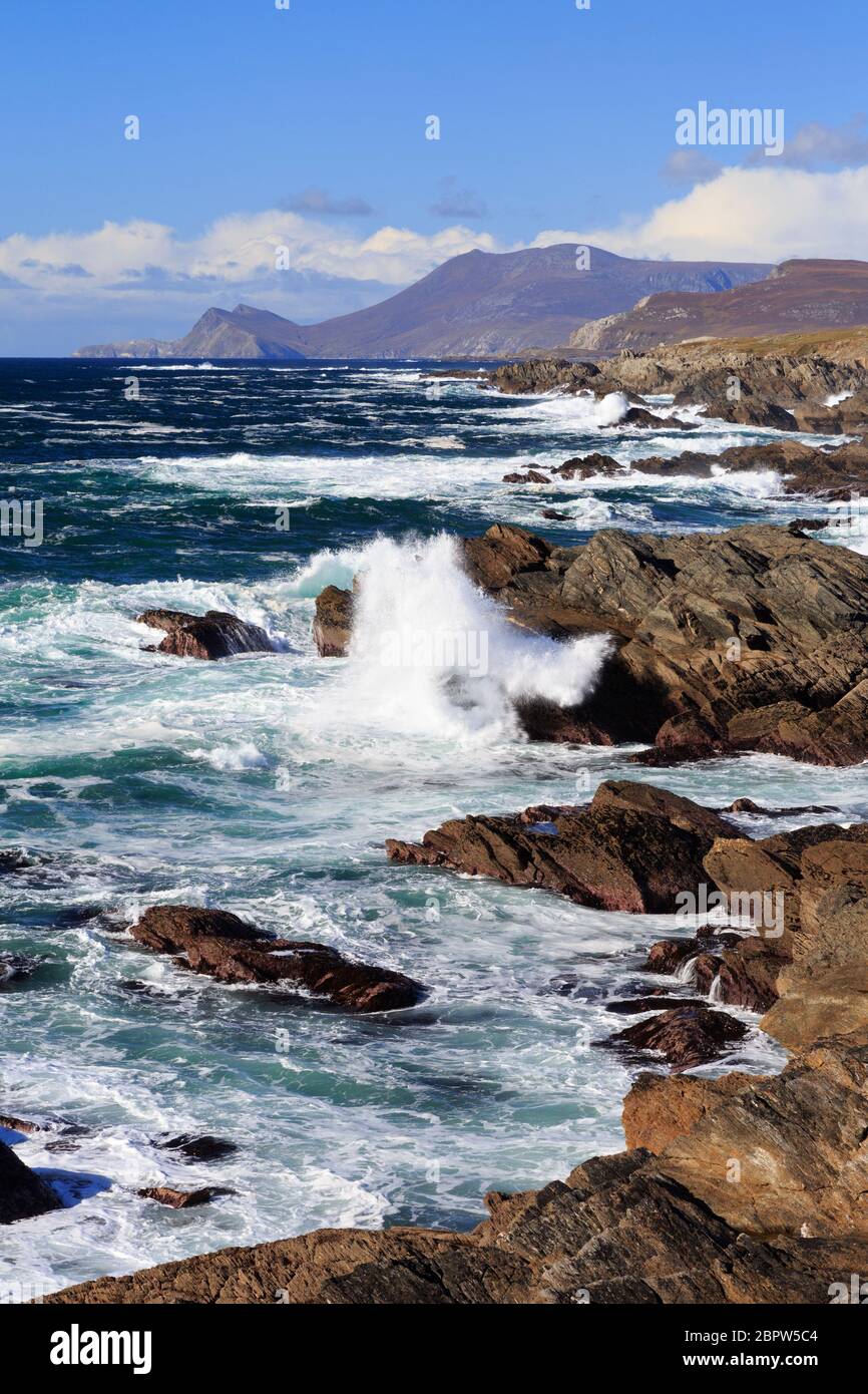 Coastline on Atlantic Drive,Achill Island,County Mayo,Connaught,Ireland ...
