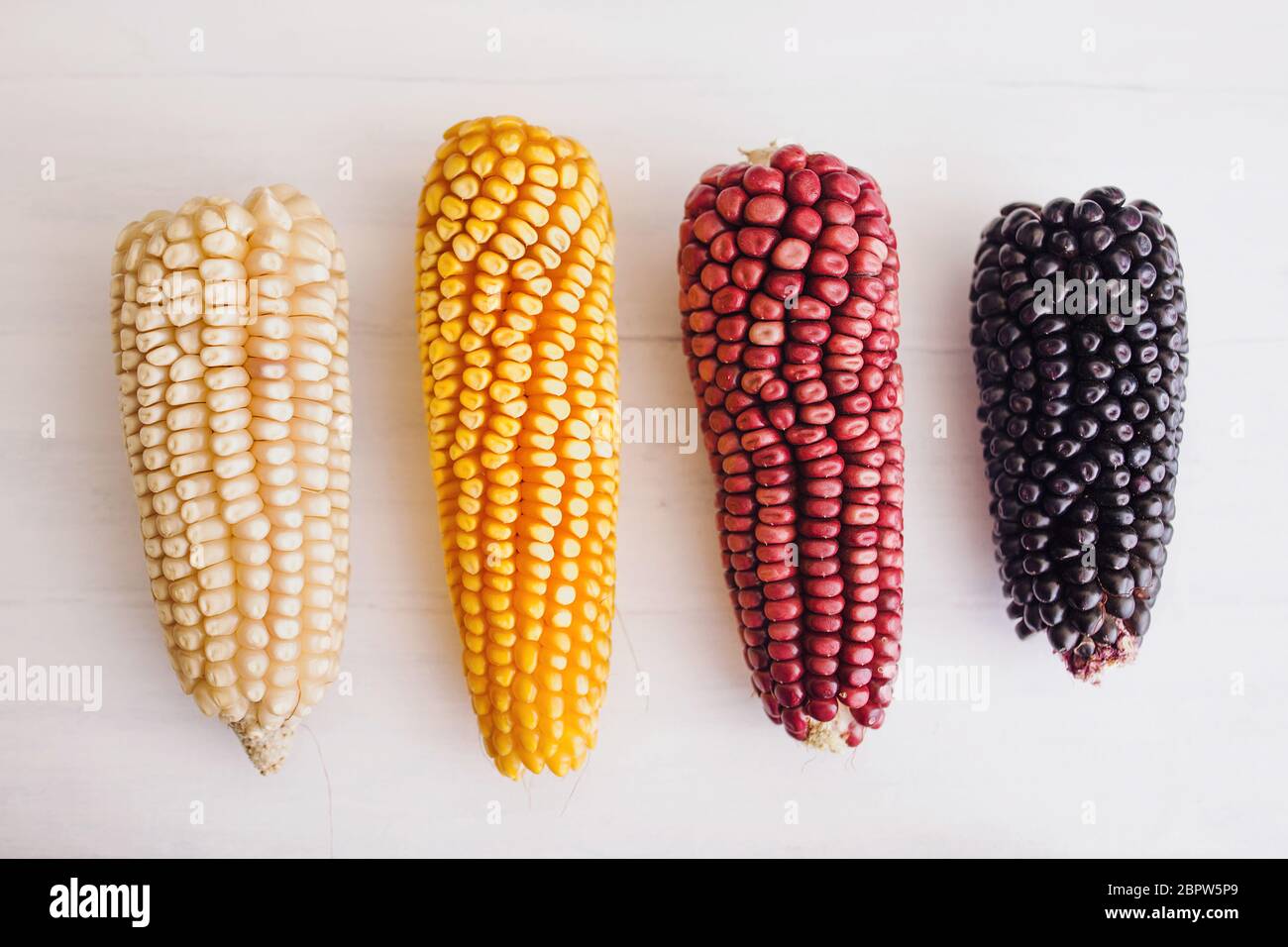 Different Colors Of Corn High Resolution Stock Photography and Images ...