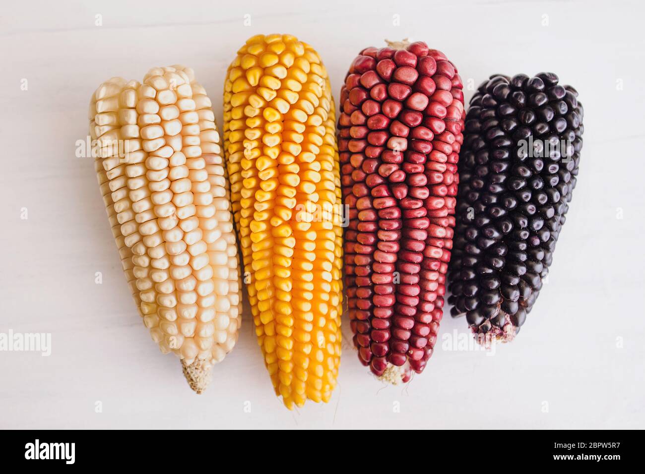 mexican Corn crop in different colors in mexico Stock Photo - Alamy