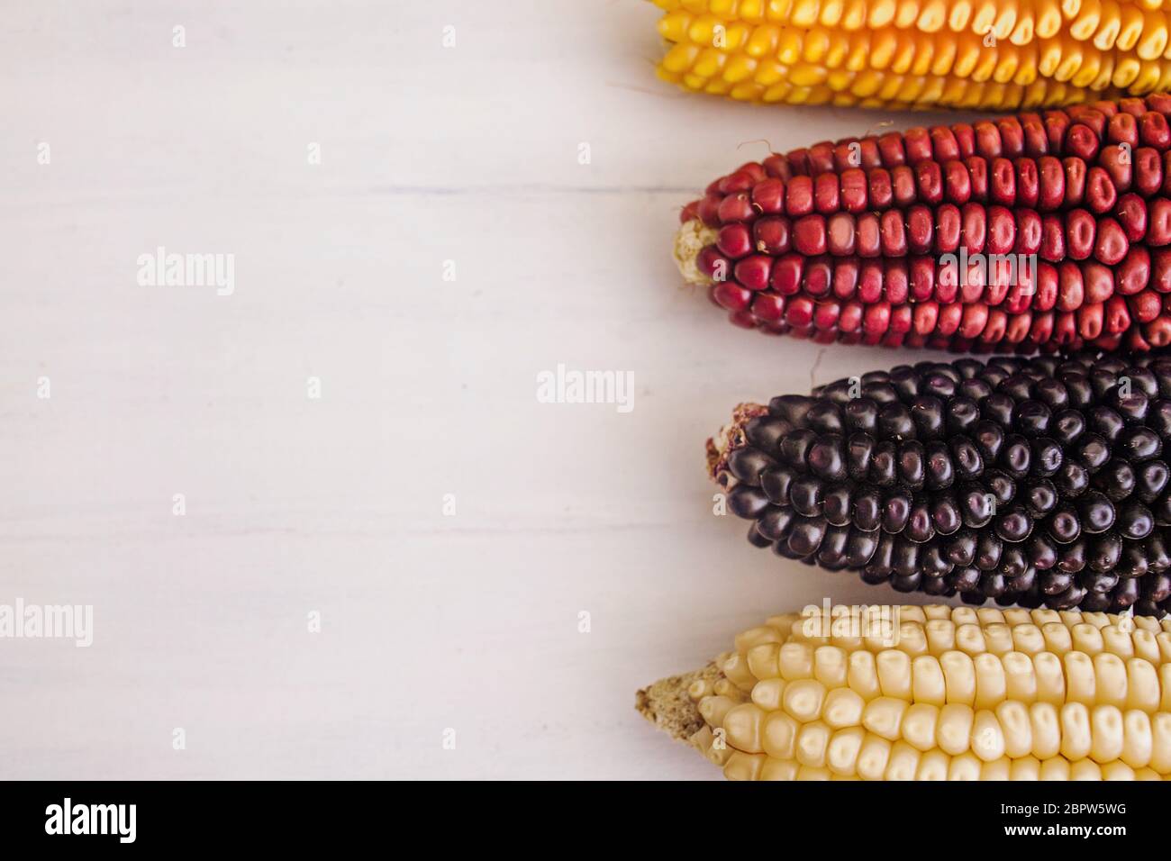 mexican Corn crop in different colors in mexico Stock Photo - Alamy