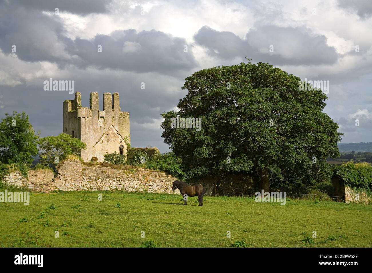 Kilcash Castle, County Tipperary, Ireland Stock Photo - Alamy