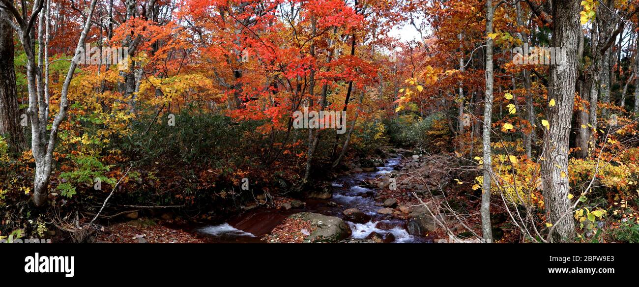 Panorama image of autumn scene at Nyuto Onsen, Akita, Japan Stock Photo ...