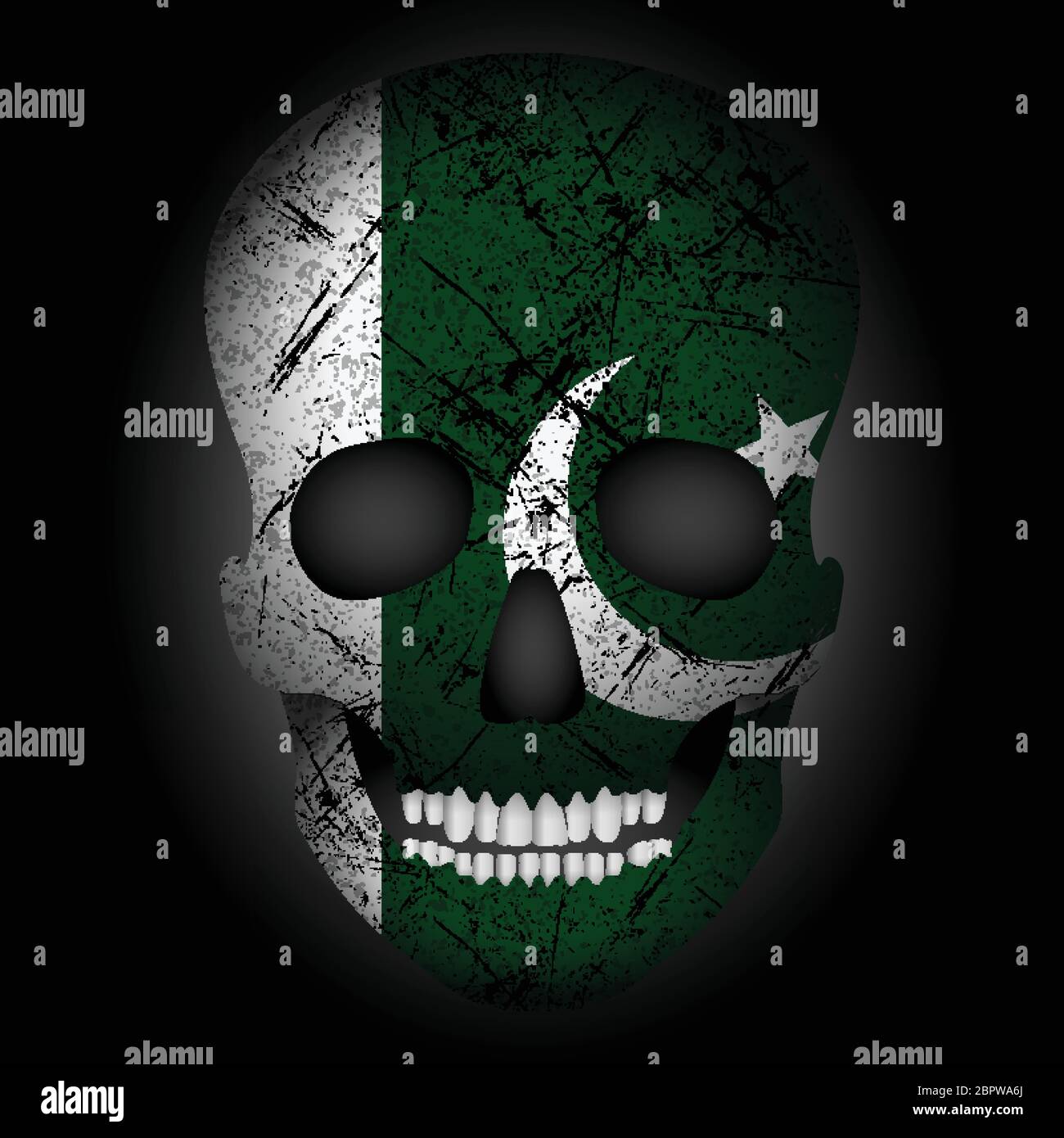Skull flag Pakistan on a black background. Vector illustration Stock ...