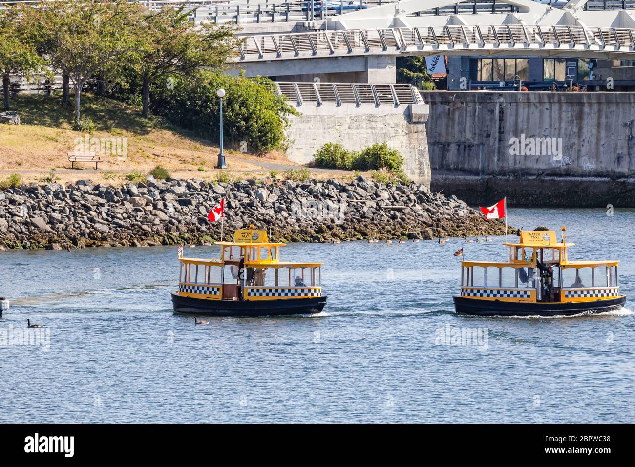 Victoria Harbour Ferry yellow water taxis are a quick way to get around ...