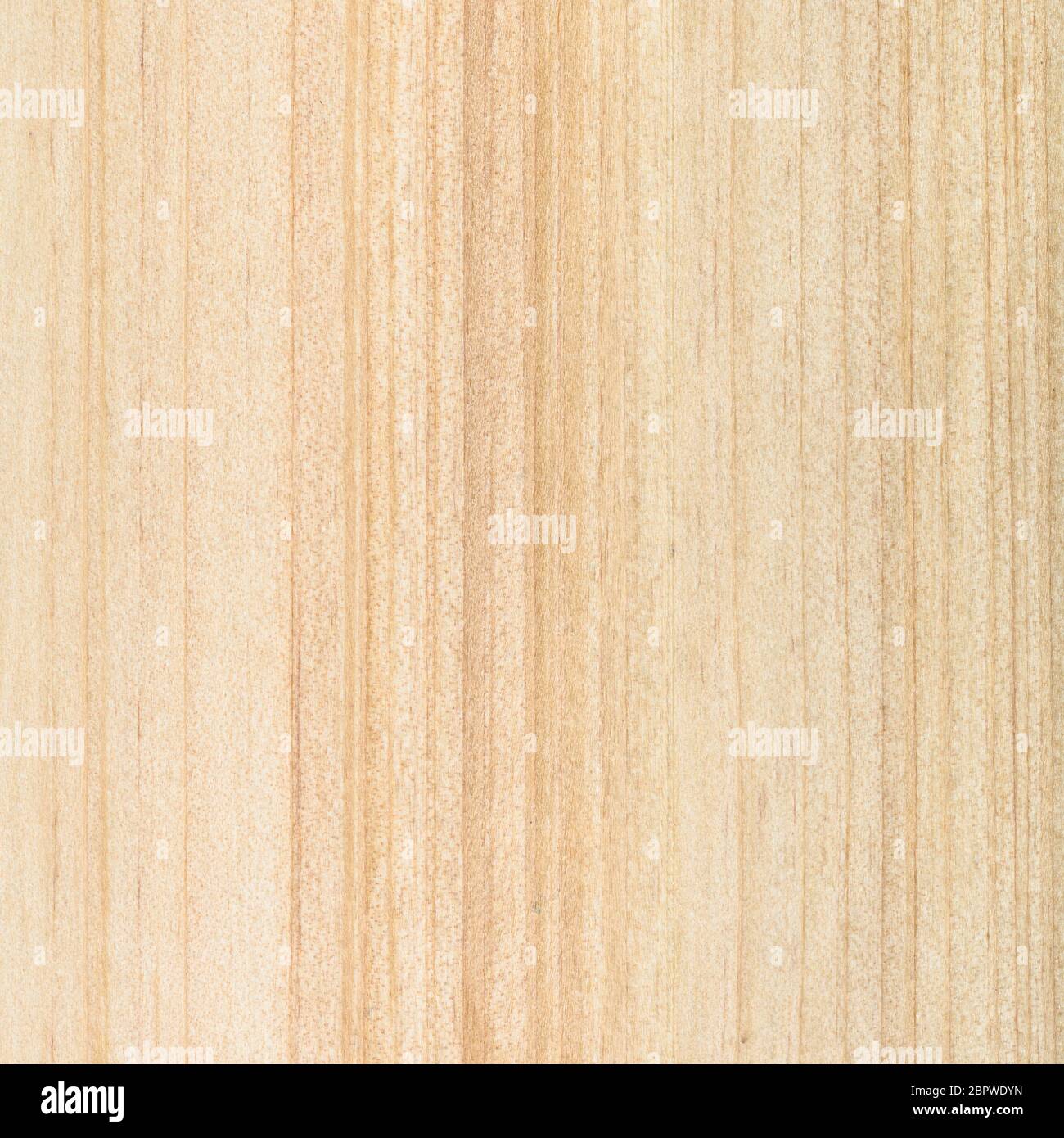 square wooden background - unpainted pine plank with vertical wood ...