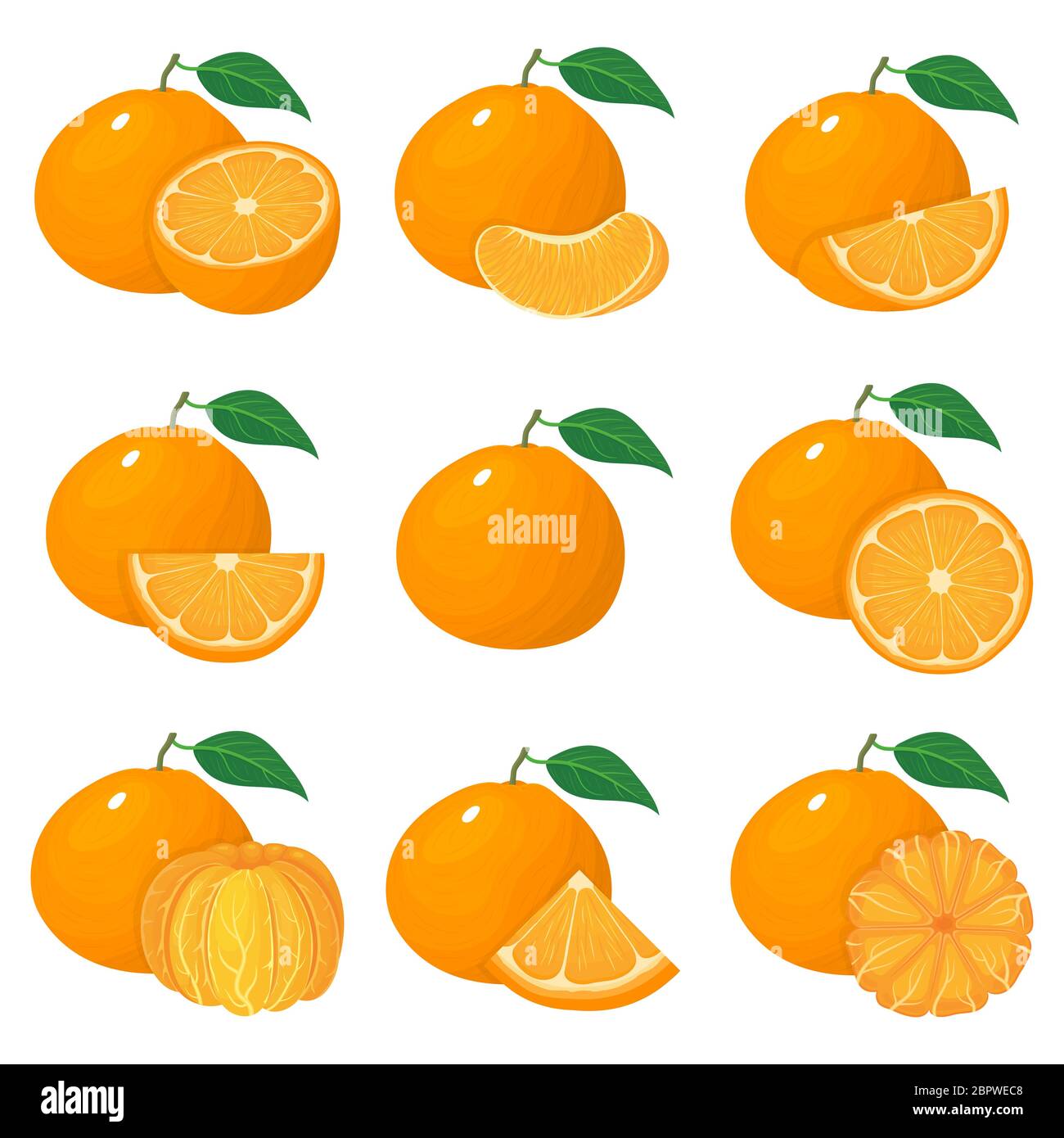 Set of fresh whole, half, cut slice tangerine or mandarin fruits isolated on white background ...