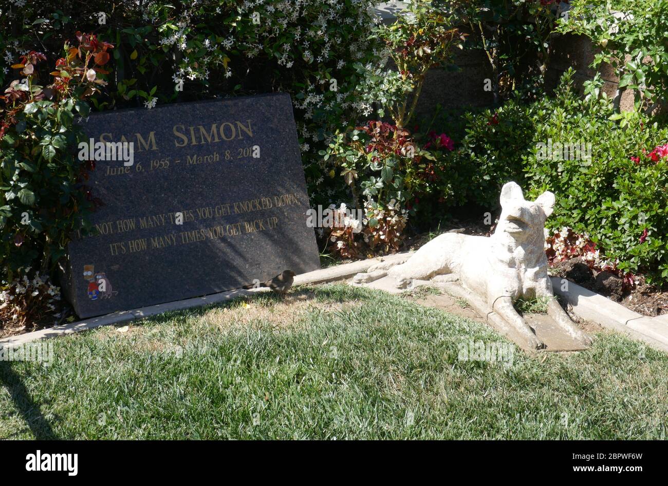 Sam simon the simpsons hi-res stock photography and images - Alamy