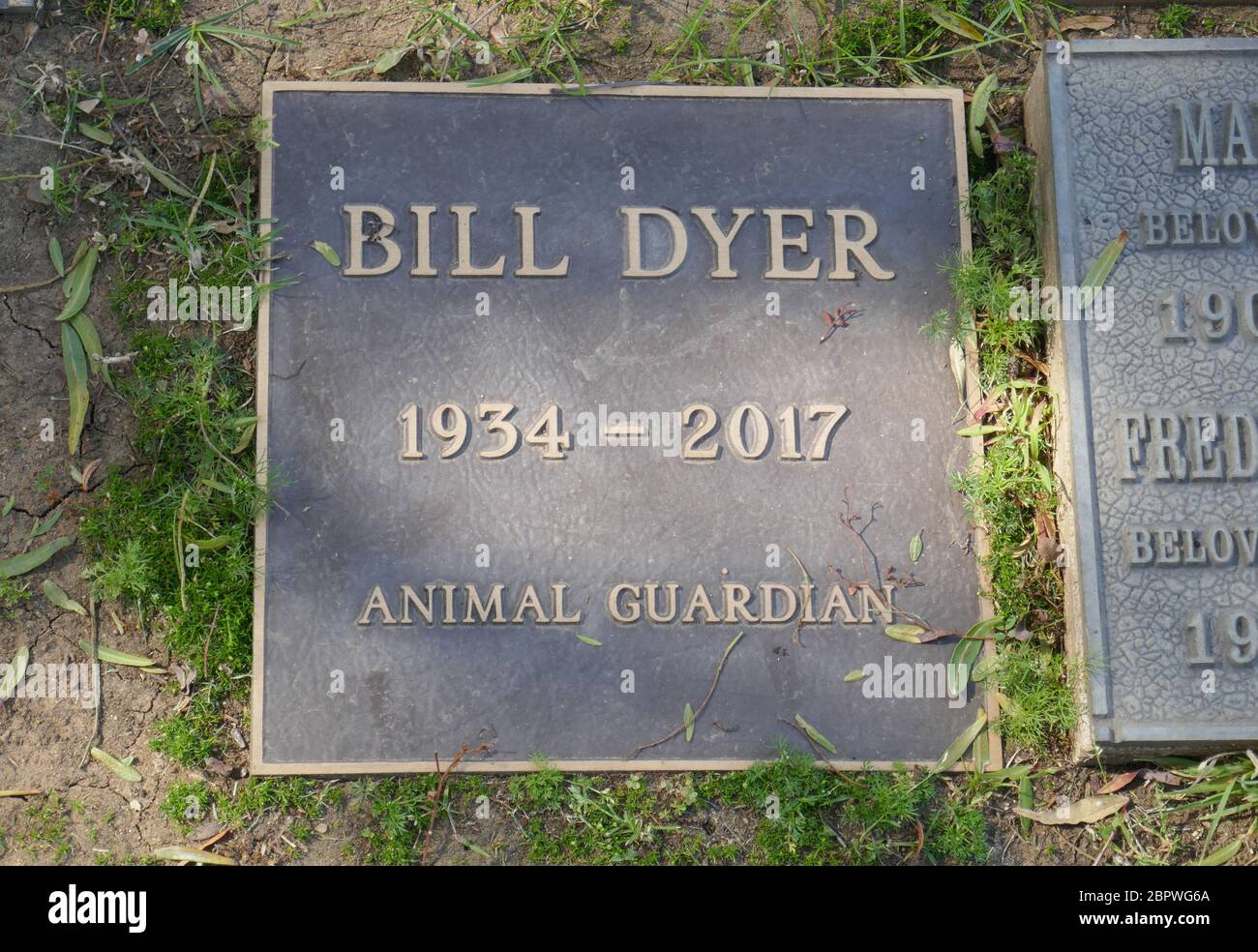 Bill dyer hi-res stock photography and images - Alamy