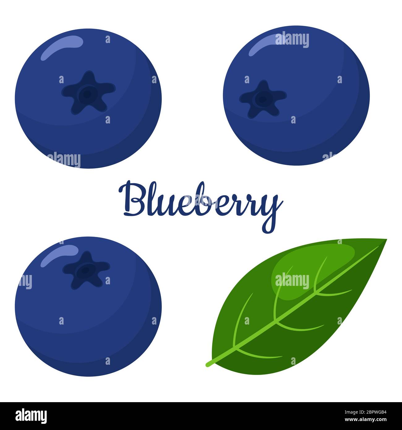 Set of fresh bright exotic blueberries isolated on white background ...