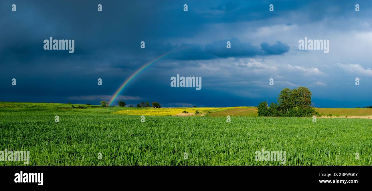 colorful rainbow against the background of a dangerous, stormy sky over ...