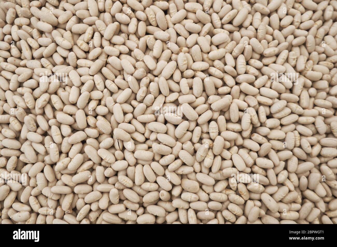 white kidney beans background or texture concept Stock Photo - Alamy