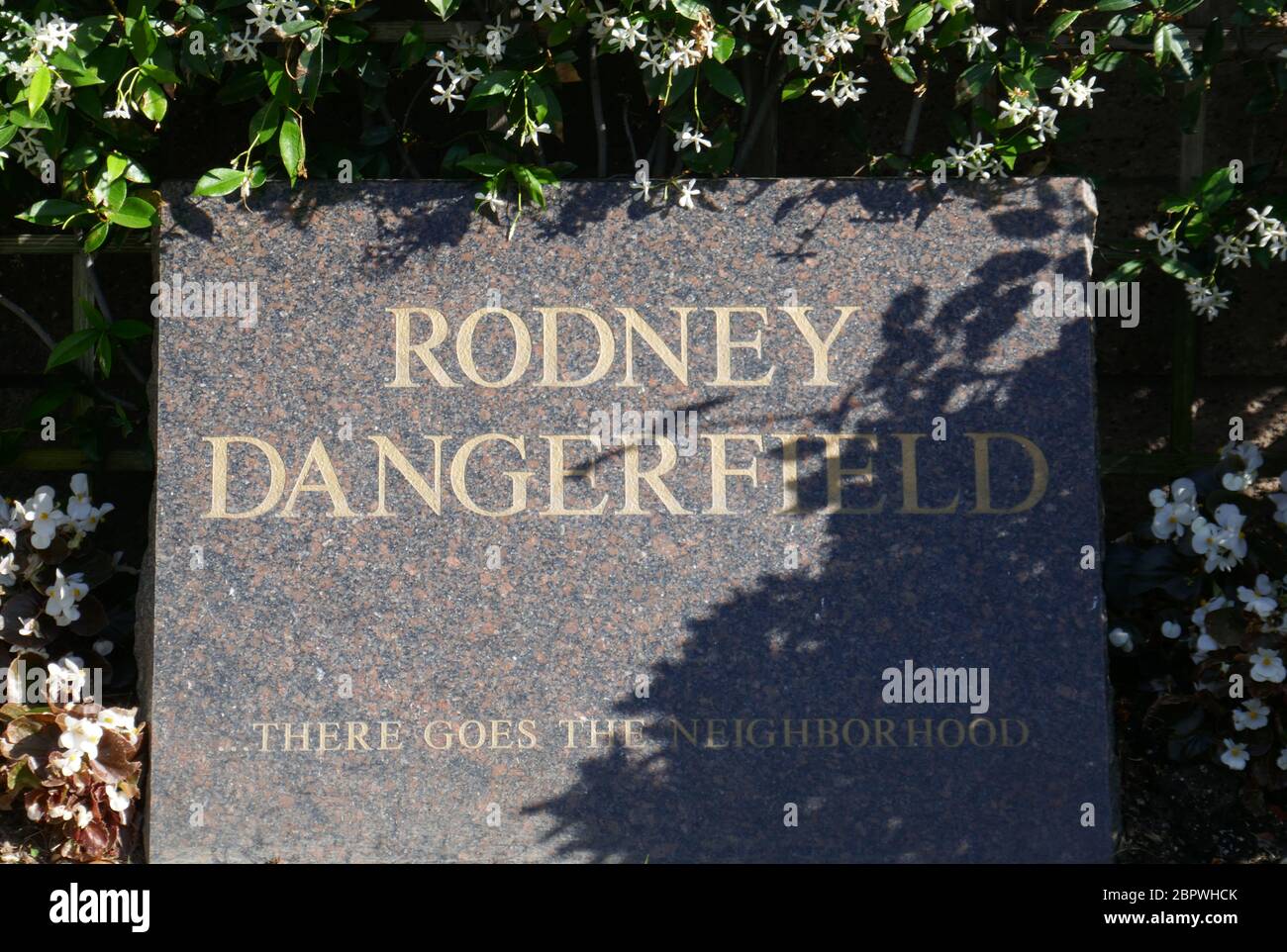 Los Angeles, California, USA 19th May 2020 A general view of atmosphere ...