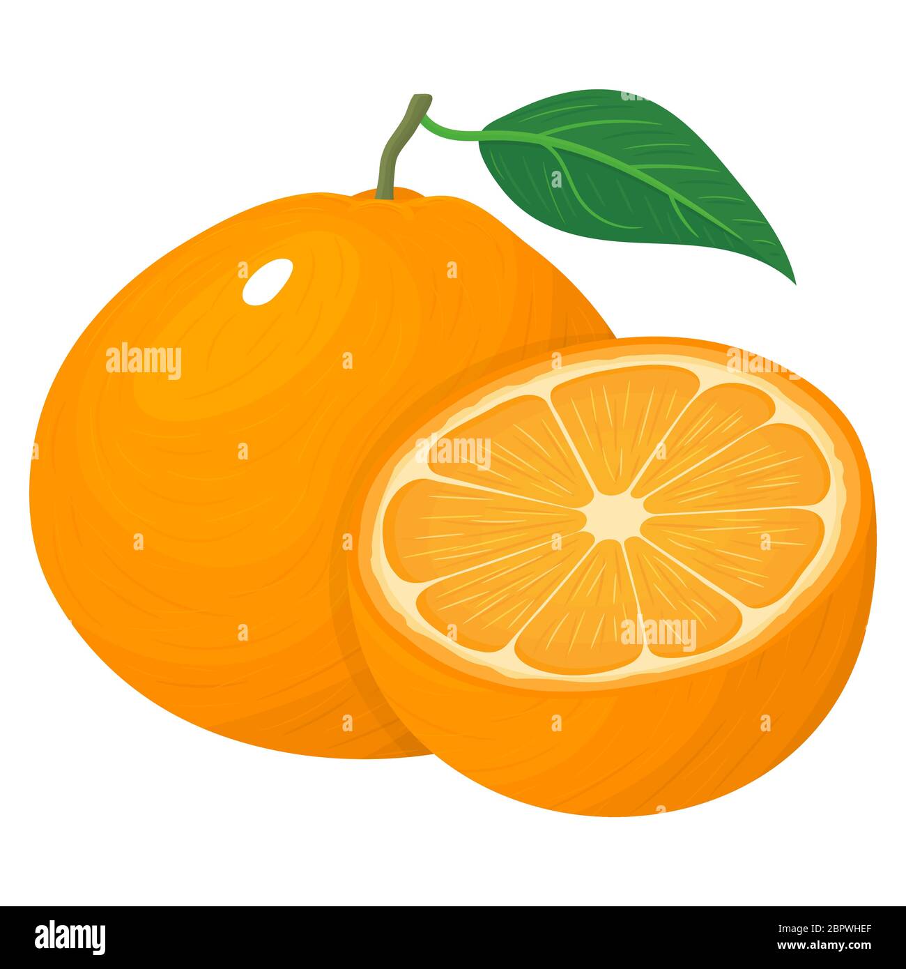 Fru fru Stock Vector Images - Alamy