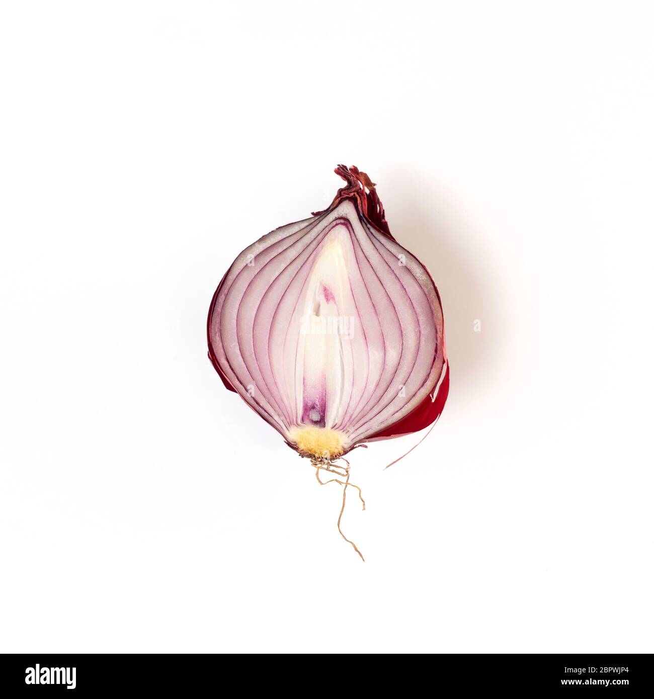 Onion cut isolated hi-res stock photography and images - Alamy