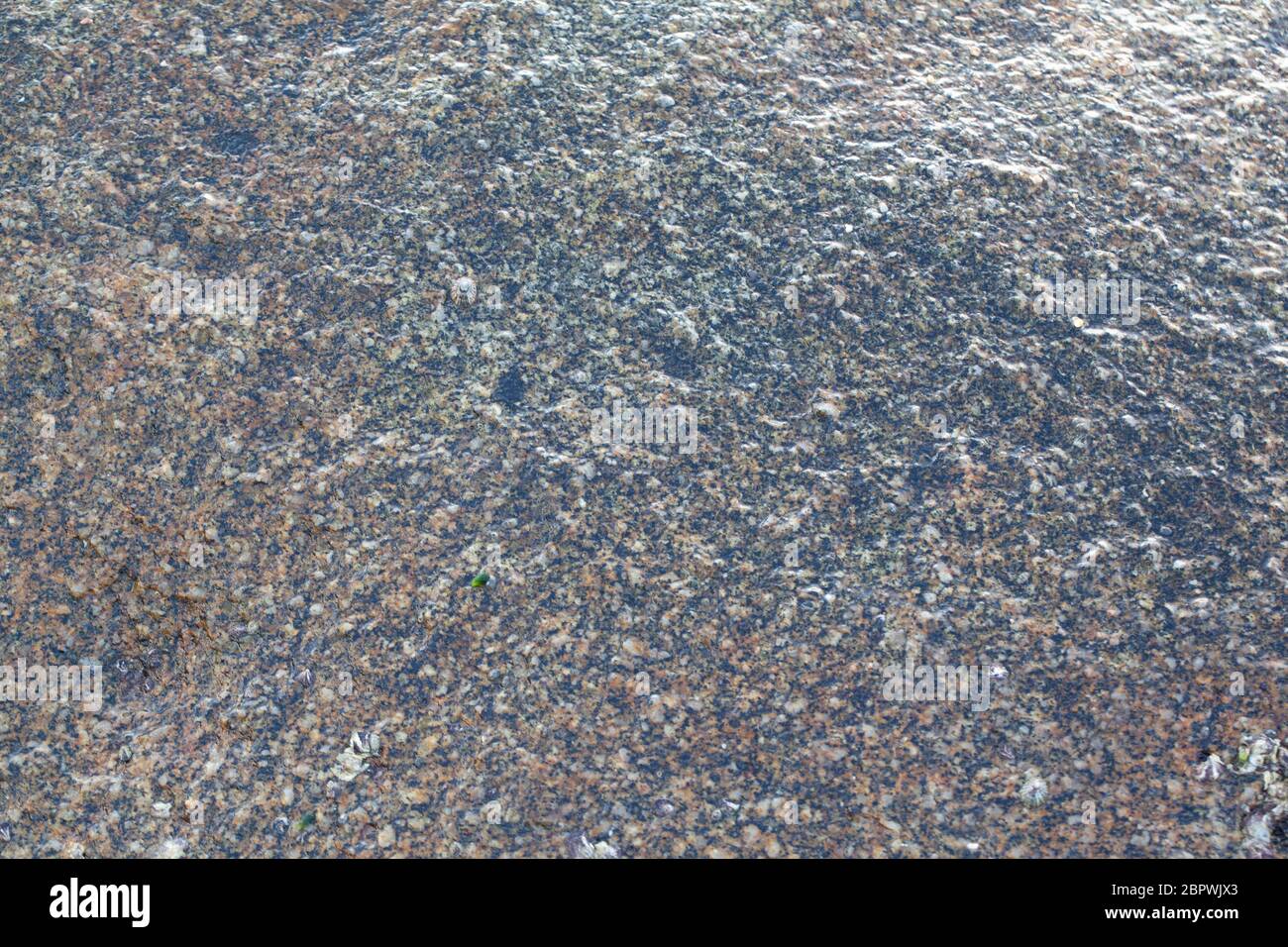 Mable texture close-up background Stock Photo - Alamy