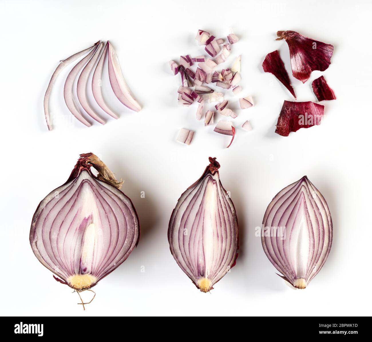 Surface of a leaf Cut Out Stock Images & Pictures - Alamy