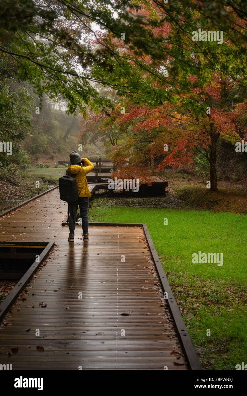 Photographer in the forest near Kameiwa cave in Kimitsu, Japan Stock ...