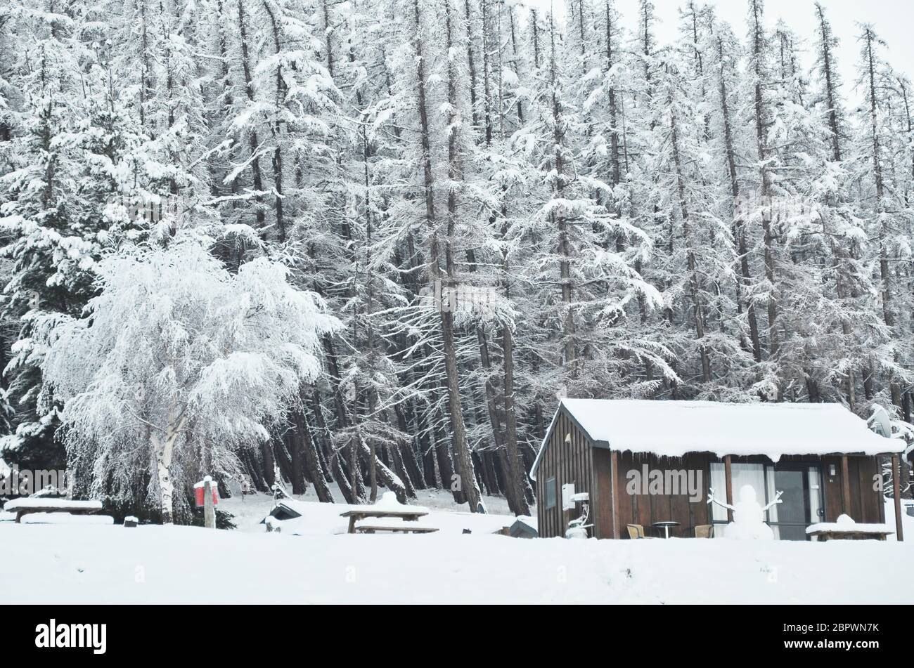 Beautiful Cabin Lake Scene