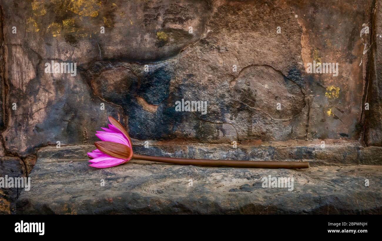 Lily symbolism hi-res stock photography and images - Alamy