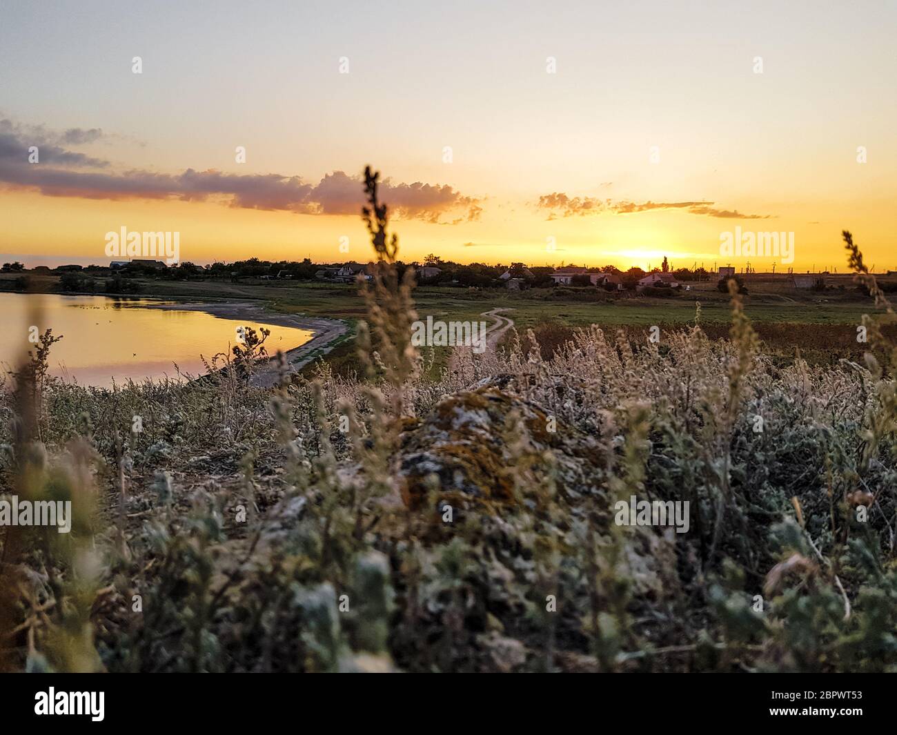 Sunset in the meadow near the estuary in early autumn Stock Photo - Alamy