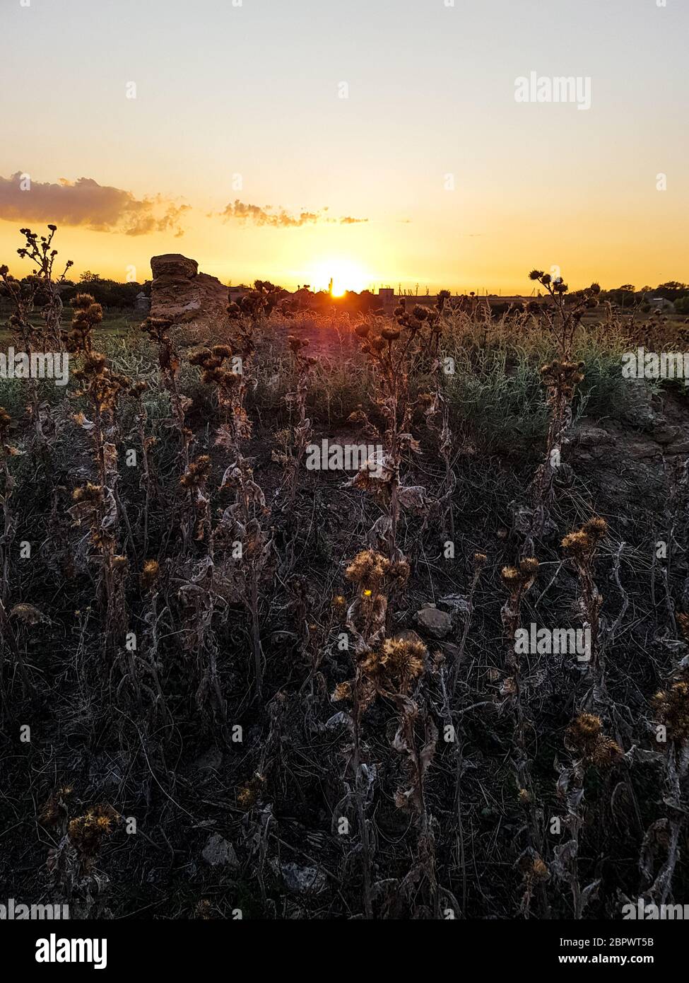 Sunrise over a garden hi-res stock photography and images - Alamy