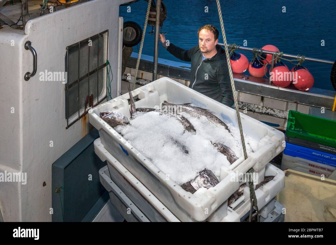 David roche hi-res stock photography and images - Alamy