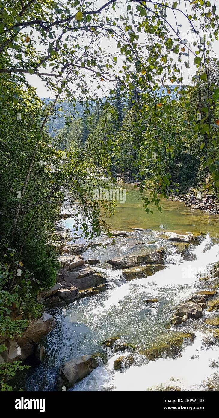 Forest river waterfall view. Wild river rapids. Forest wild river water ...