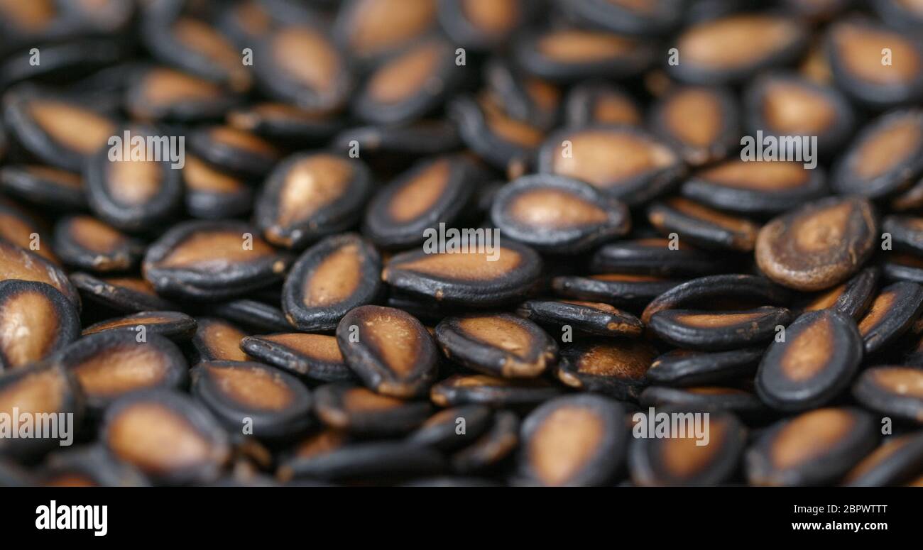 Black watermelon seed Stock Photo - Alamy