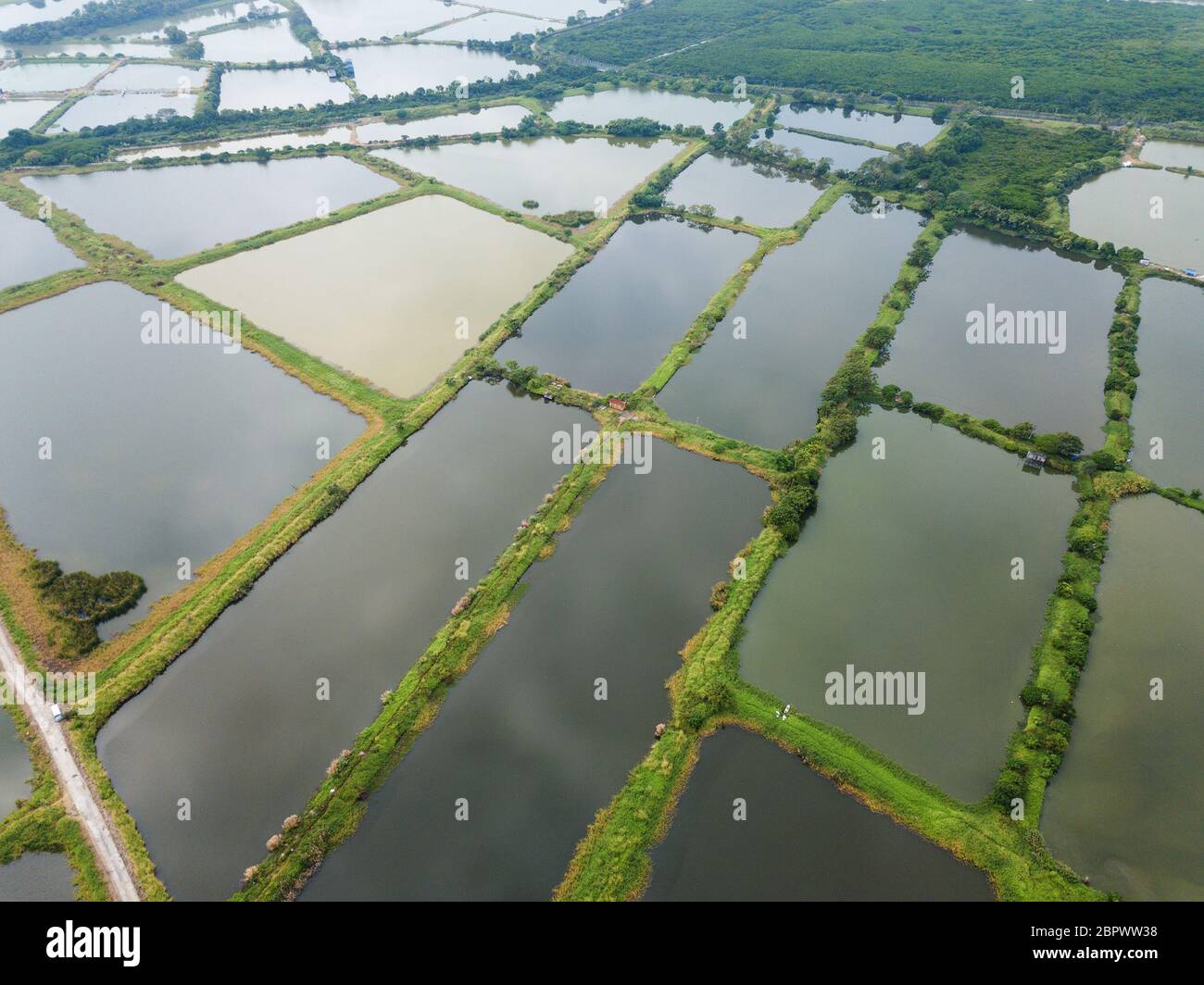 Aerial view of Fish hatchery pond Stock Photo - Alamy