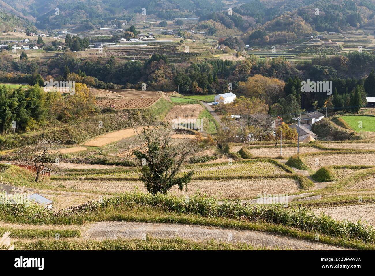 Traditional japanese countryside Stock Photo - Alamy